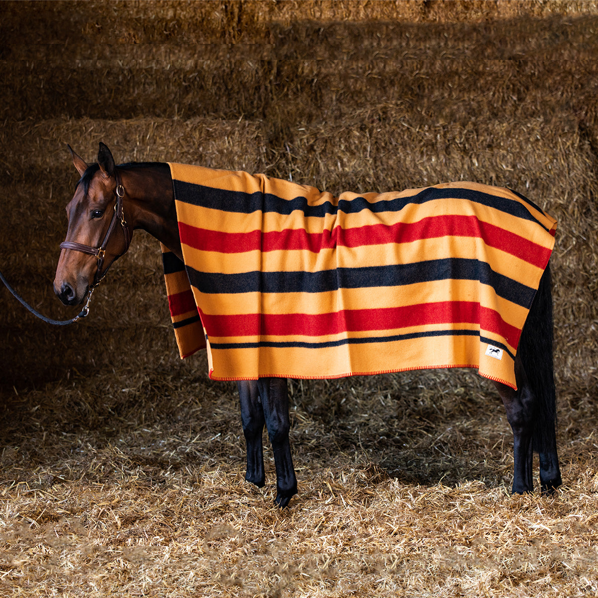 The History of the Iconic Newmarket Wool Horse Blanket – Get the Gallop