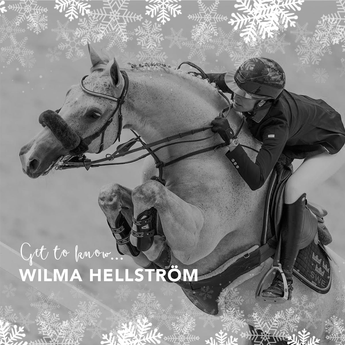 Get to know - Wilma Hellström – Get the Gallop